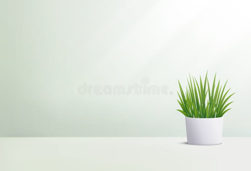 Background 3d Abstract Minimal Scene with Plant. Cosmetic Product ...