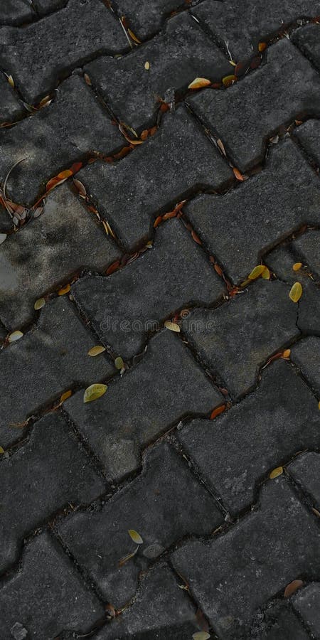 Interlock Pattern on the Garden Pavement Stock Photo - Image of plant ...