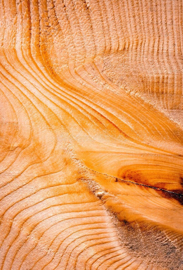 Abstract Detail Orange Wood Texture Stock Photo - Image of abstract ...