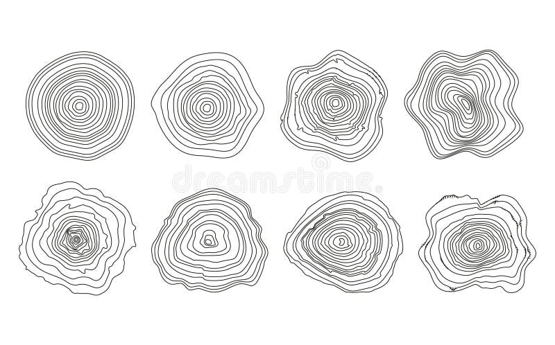 Background of Abstract Growth Rings of a Tree.Line Design of a Wooden ...