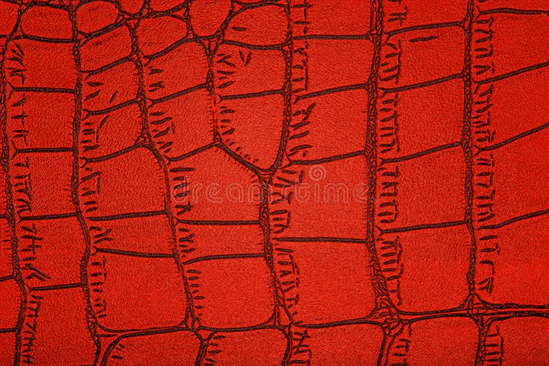 Background of the Alligator Skin, Red Color. Stock Image - Image of ...