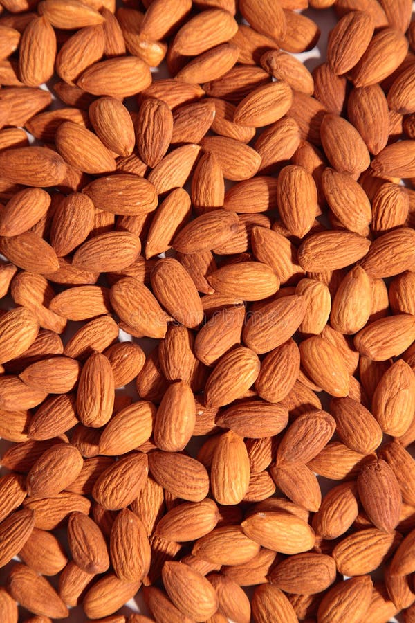 Background of Almonds stock image. Image of almonds, fruit - 33801327
