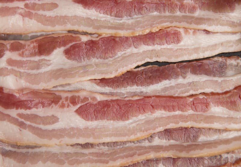 Raw American Style Bacon stock photo. Image of package - 120514440