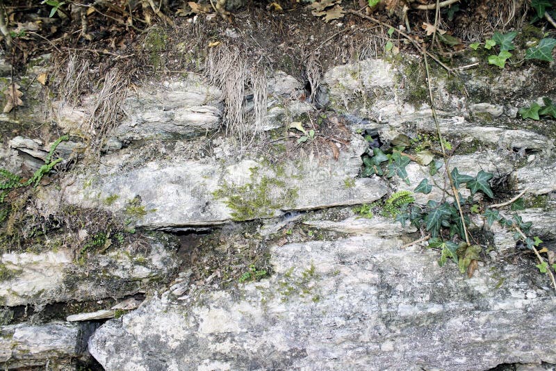 Wall stock image. Image of scaly, facade, styles, abstract - 101973003