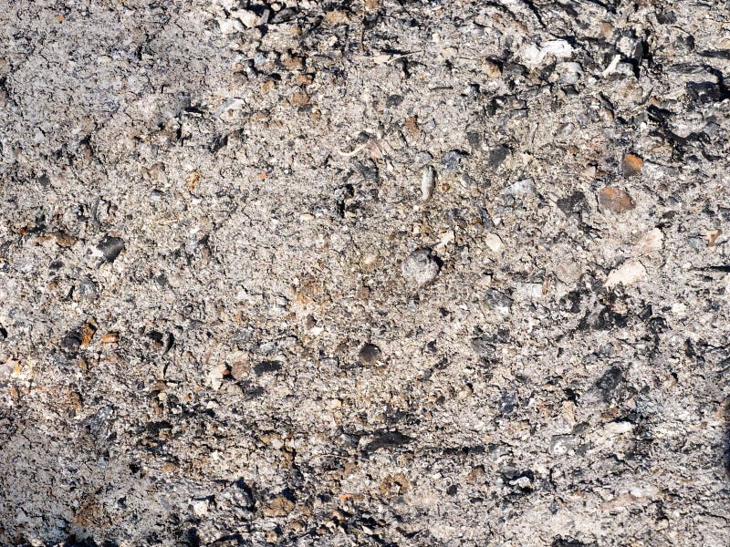 Background of Ash and Stones Stock Photo - Image of garden, carpet ...