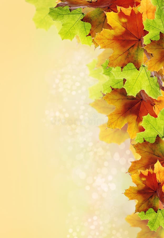 Background with Autumn Leaves Stock Illustration - Illustration of ...