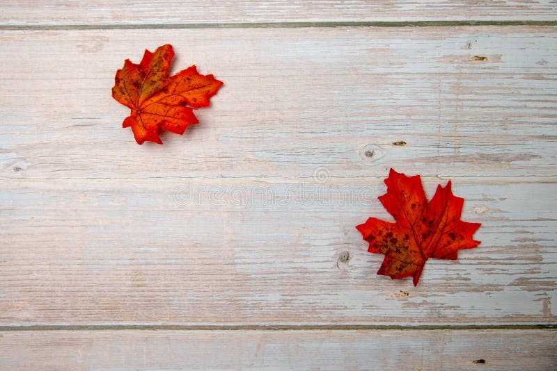 Autumn leaves on the table stock photo. Image of holiday - 160881758
