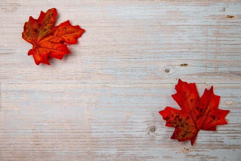 Autumn leaves on the table stock photo. Image of nature - 160881776