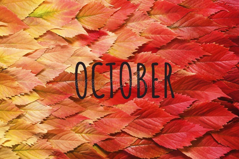 Background of Autumn Leaves with Text. October. Gradient. Stock Photo ...