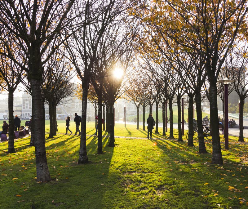 Background autumn October editorial stock image. Image of outdoor ...