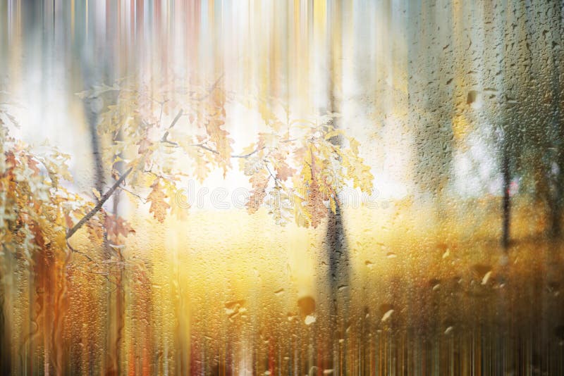 Background Autumn Rain in the Park Stock Photo - Image of abstract ...