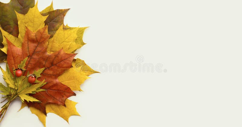 Hello autumn theme stock photo. Image of leaf, fall - 201277696