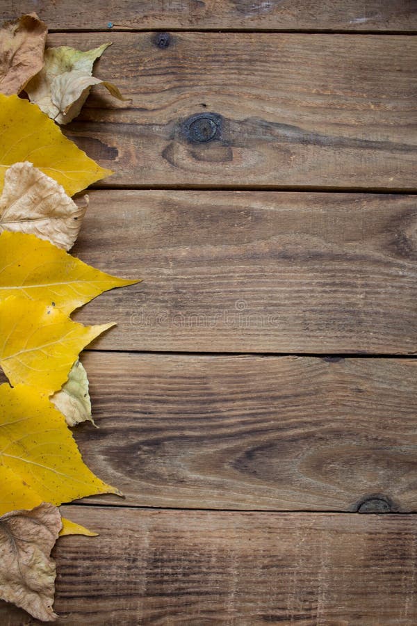 Background Autumn Yellow Leaves on Wooden Background Stock Image ...