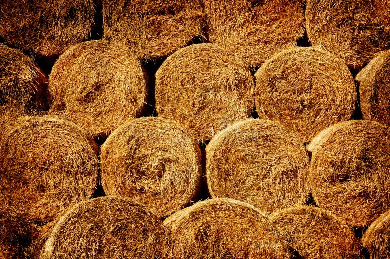 Background bales of hay stock photo. Image of border - 22777364