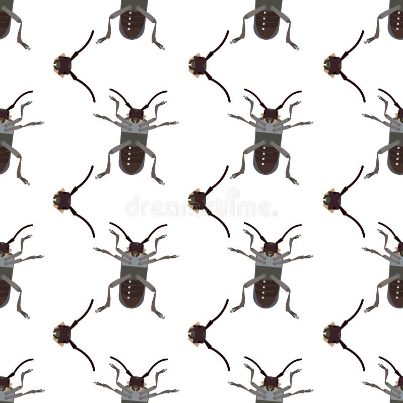 Leaf Beetle Border Stock Illustrations – 206 Leaf Beetle Border Stock ...
