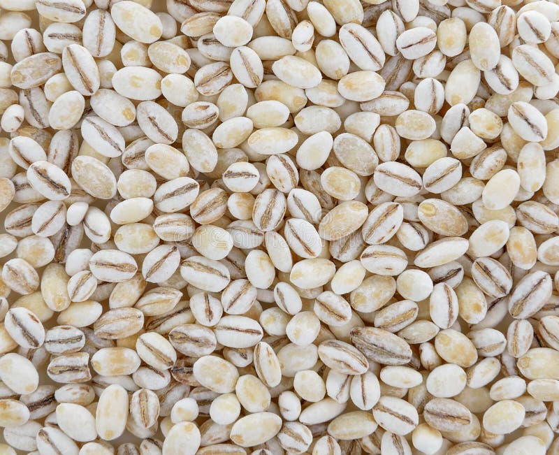 Barley, Food Grain, Vegetation, Hordeum Picture. Image: 101746113