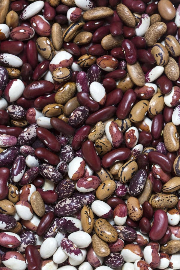 Background bean seeds stock image. Image of eating, legume - 69877519