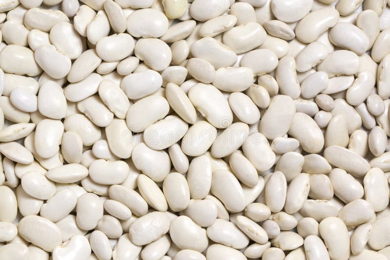 Background bean seeds stock image. Image of vegetarian - 70961037