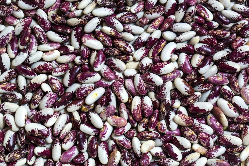 Background bean seeds stock image. Image of seeds, healthy - 70958955