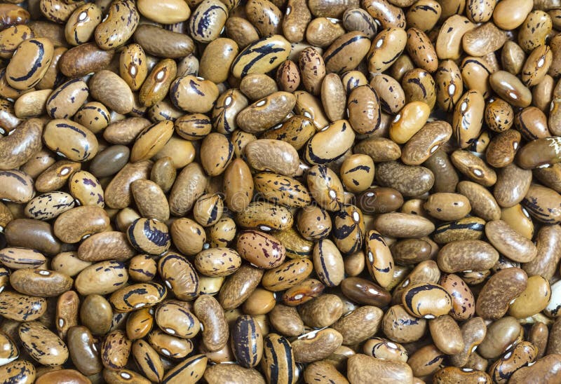 Background bean seeds stock image. Image of seeds, healthy - 70958955