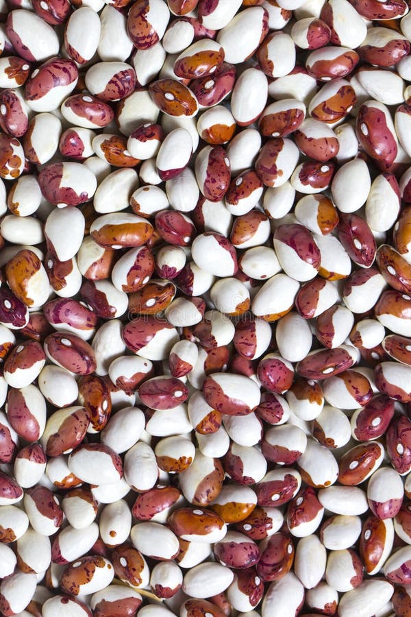 Background bean stock image. Image of seed, texture, vegetarian - 68224513