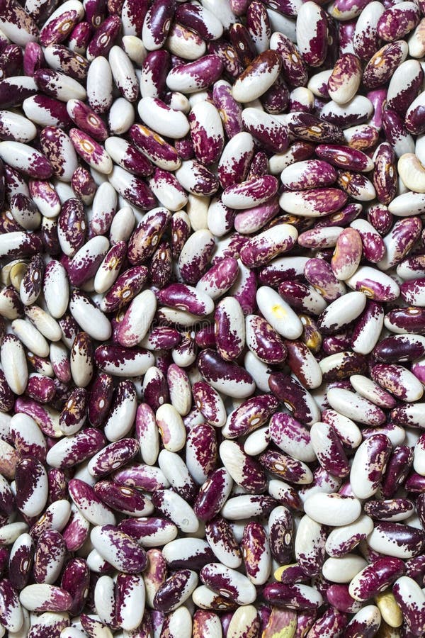 Background bean seeds stock image. Image of seeds, healthy - 70958955