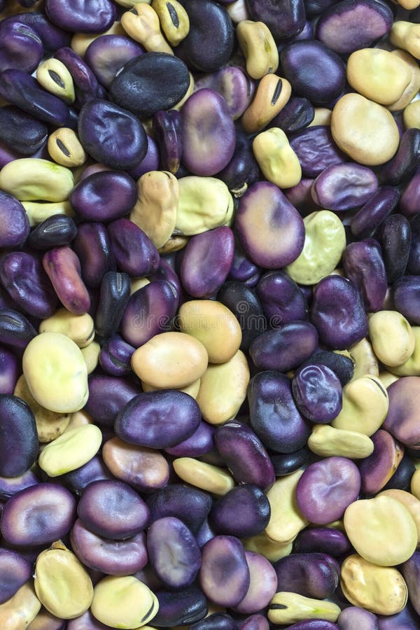 Background bean seeds stock image. Image of seeds, healthy - 70958955