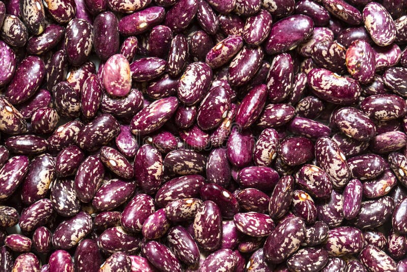 Background bean seeds stock image. Image of seeds, healthy - 70958955