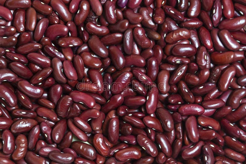Background bean seeds stock image. Image of seeds, healthy - 70958955