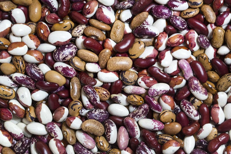Background bean seeds stock image. Image of seeds, healthy - 70958955