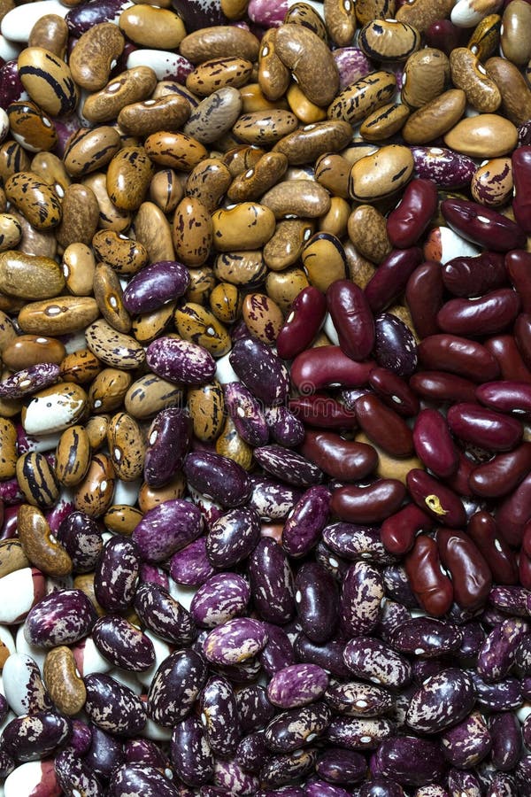 Background bean seeds stock image. Image of seeds, healthy - 70958955