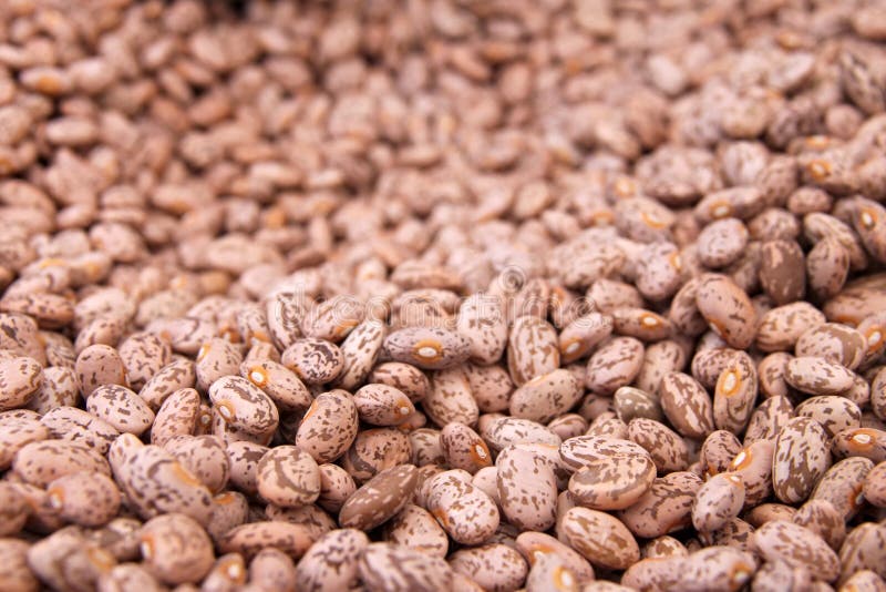 Background Of Beans Picture. Image: 19943905