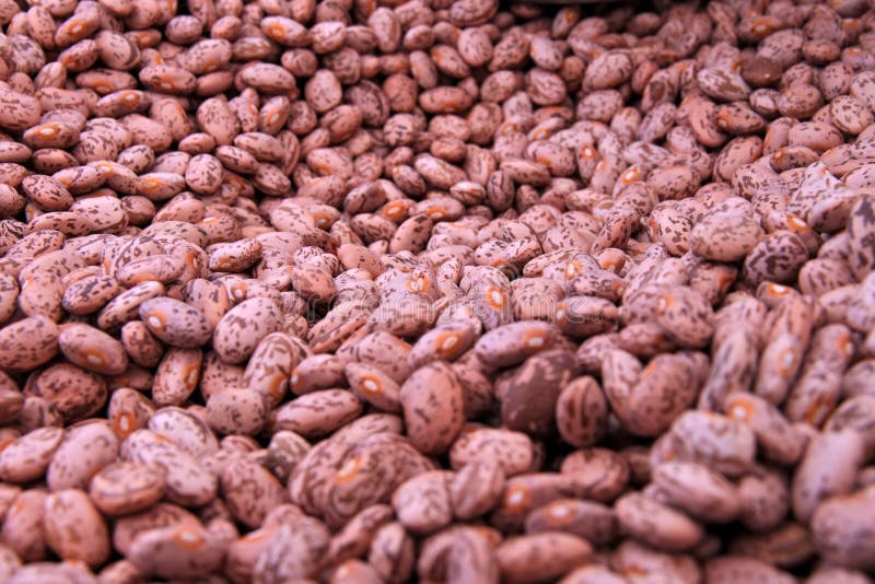 Background Of Beans Picture. Image: 19943914