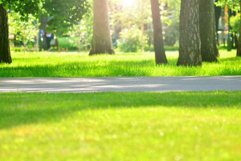 Green park background stock image. Image of city, landscape - 134809431