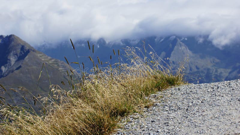 Background stock image. Image of autumn, goal, landscape - 48175945