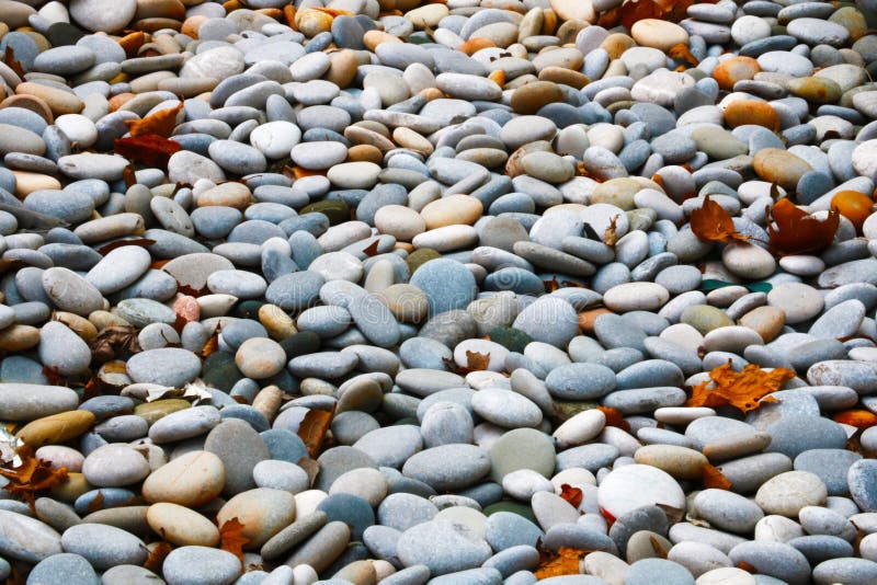 Background of Beautiful Pebbles on the Beach of the Pacific Ocean Coast ...
