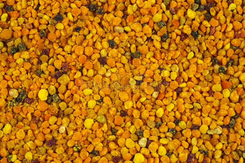 Bee Gathered Pollen Granules Stock Image - Image of food, anther: 152215795