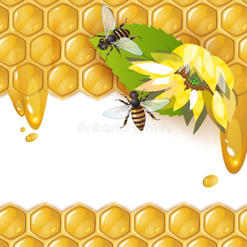 Beautiful Background with Bees,honey, Flowers. Stock Illustration ...