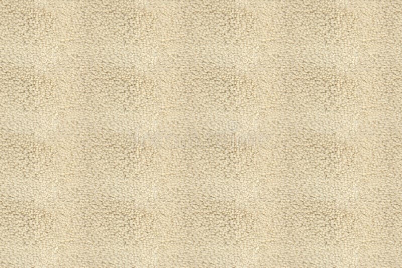 Beige Carpet Texture