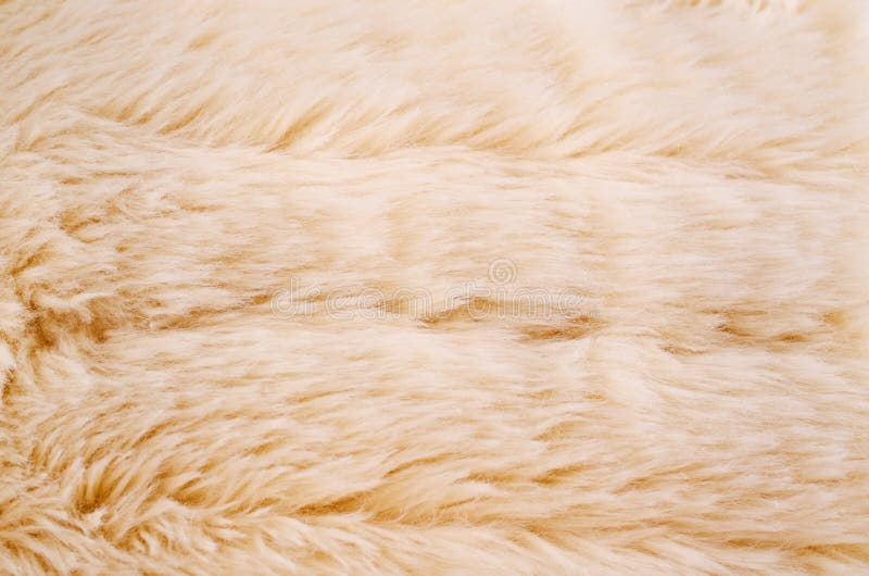 Background of beige fur stock photo. Image of brown, backdrop - 68847630