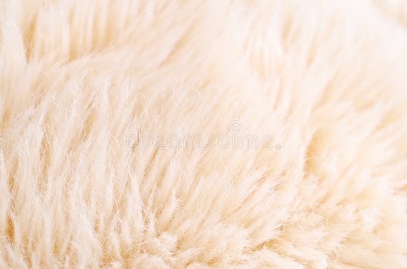 Background of beige fur stock photo. Image of detail - 68849898
