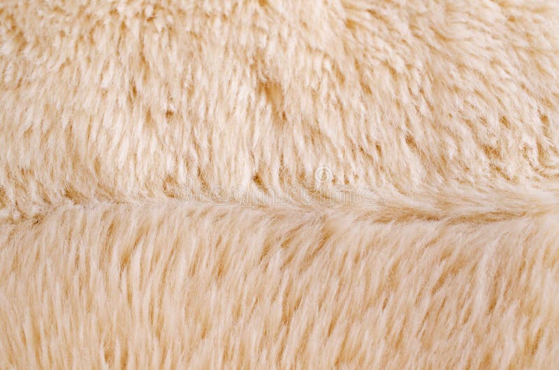 Background of beige fur stock image. Image of brown, animal - 68849929