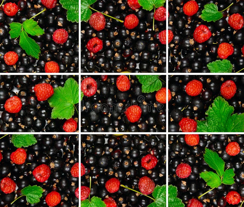 Background of the Berries of Black Currant, Raspberry and Stock Image ...