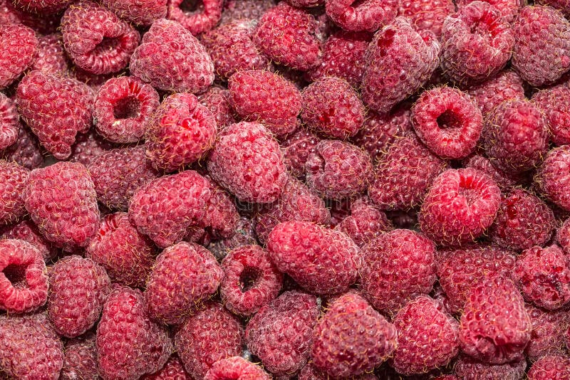 Background berry stock image. Image of berry, bold, backdrop - 46949059