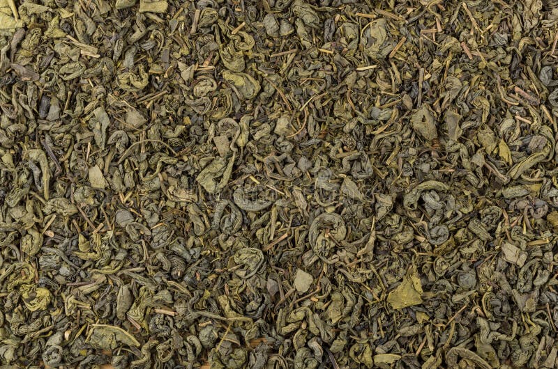Background from Big Leaf Green Tea Stock Photo - Image of green, view ...