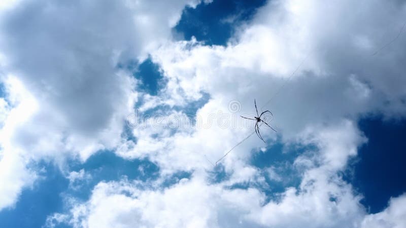 Background of Big Spider on the Sky Shoot from Above Stock Photo ...
