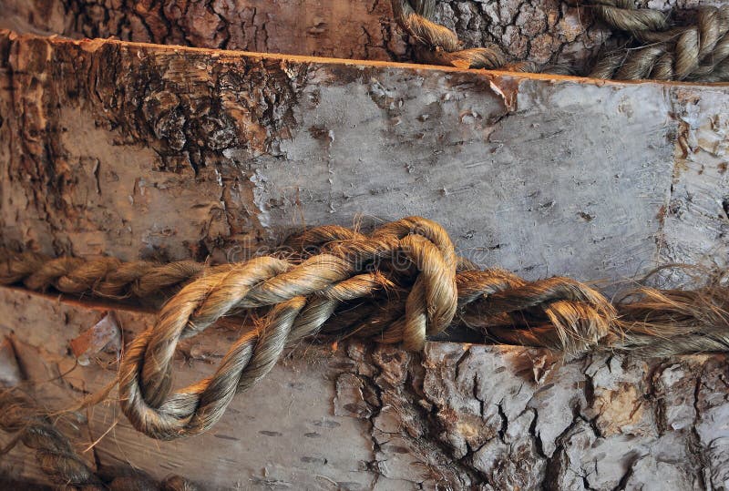 Background of Birch Bark with a Knot and Rope Stock Photo - Image of ...