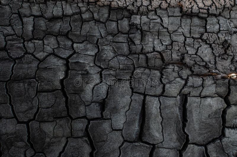 Background, Black Charred Timber, Coal after Fire, Abstract and in ...