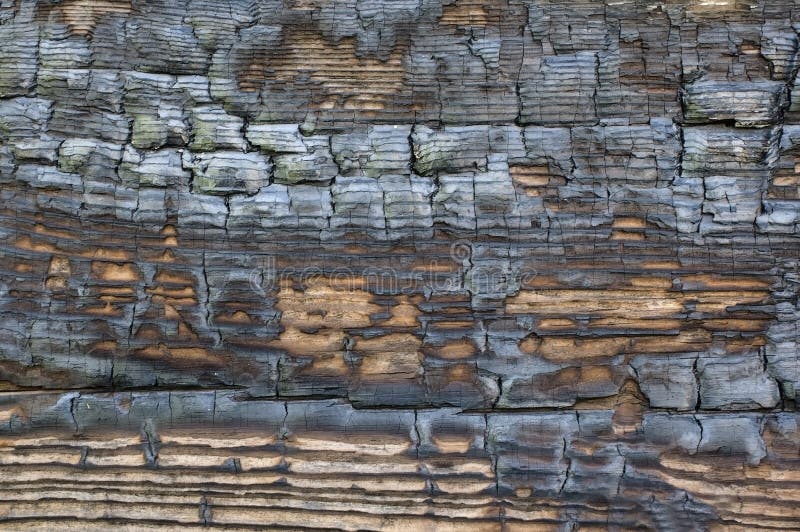 Background of Black Dark Burnt Texture Boards after a Fire Stock Image ...