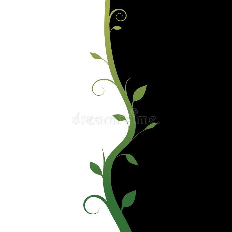 Background Black and White, Branch with Leaves Divides Background into ...